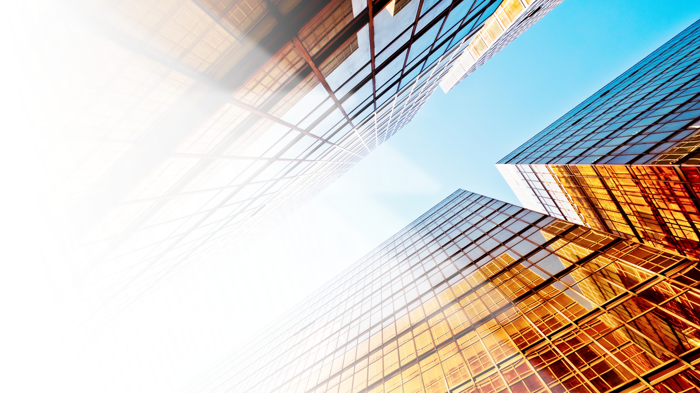 Board Committees At A Glance Rockwell Automation