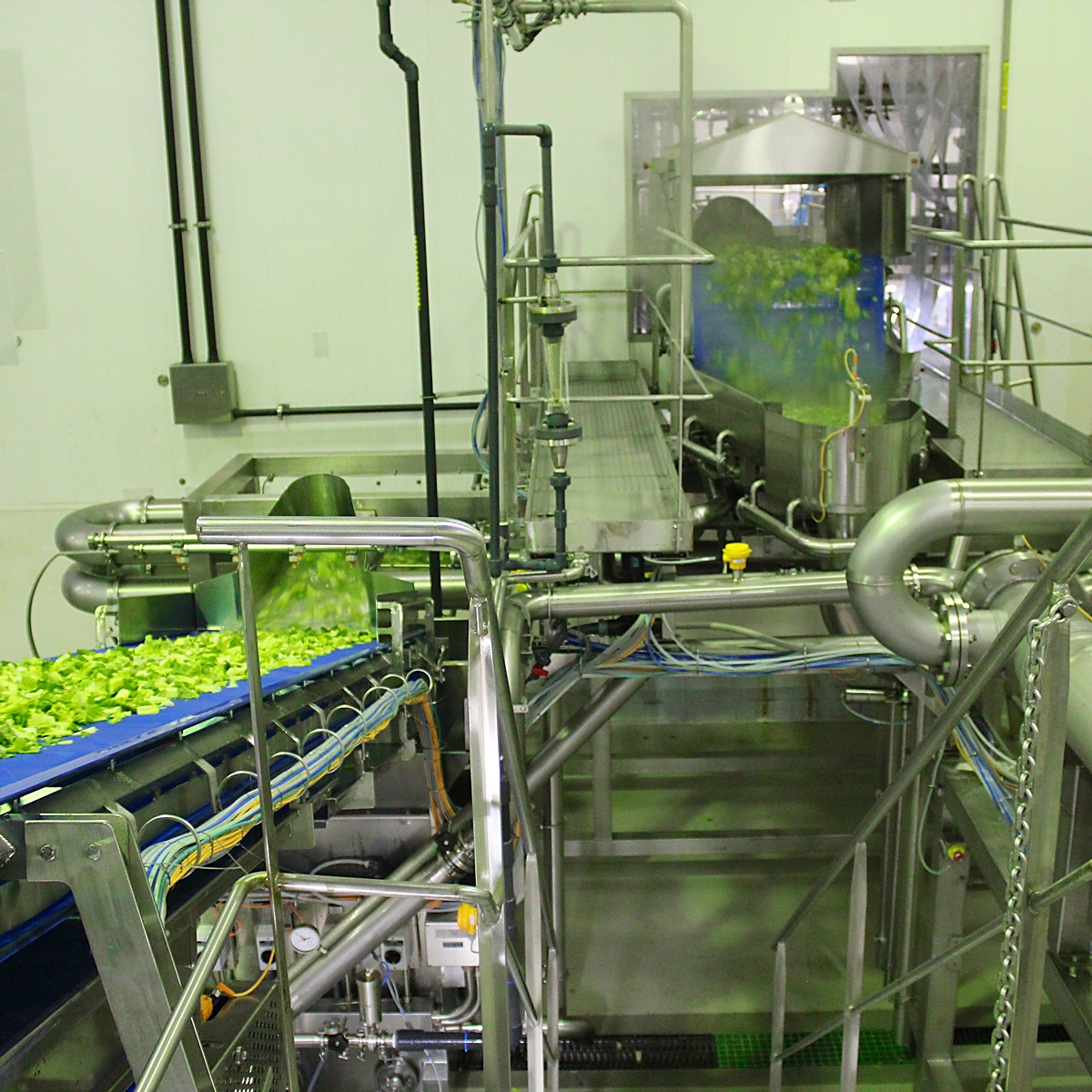 Turatti Sees Increased Productivity in its Food Washing Machinery ...